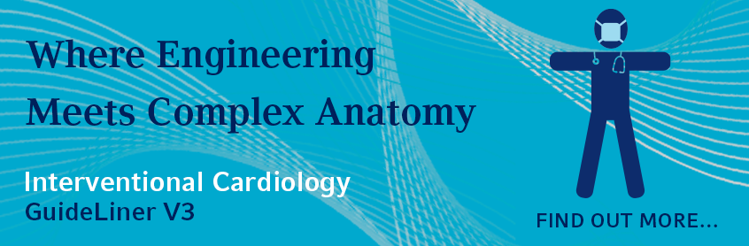 GuideLiner V3 Catheter | EMEA | Teleflex